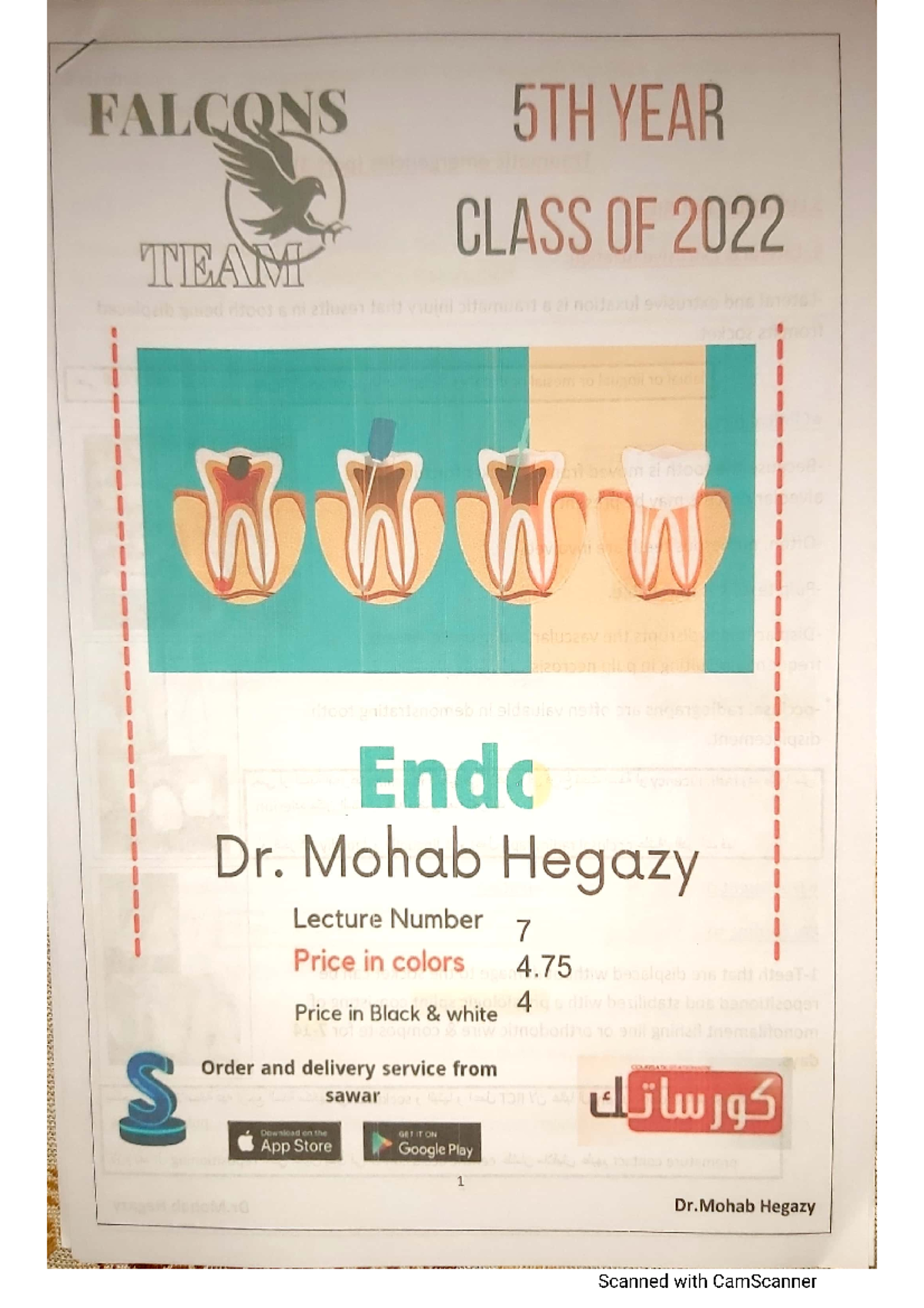 Endo 7 - dental anatomy - Studocu