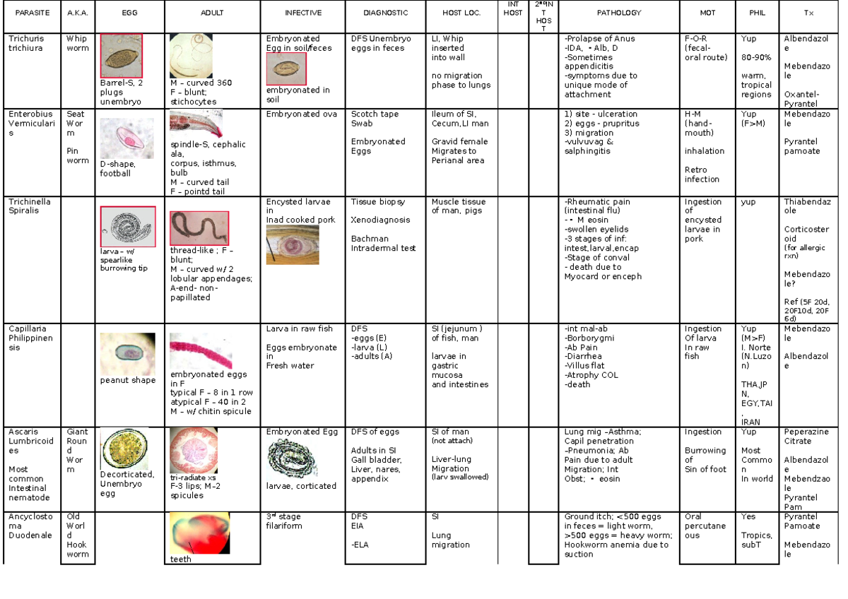 Parasitology-Tables - N/A - PARASITE A.K. EGG ADULT INFECTIVE ...