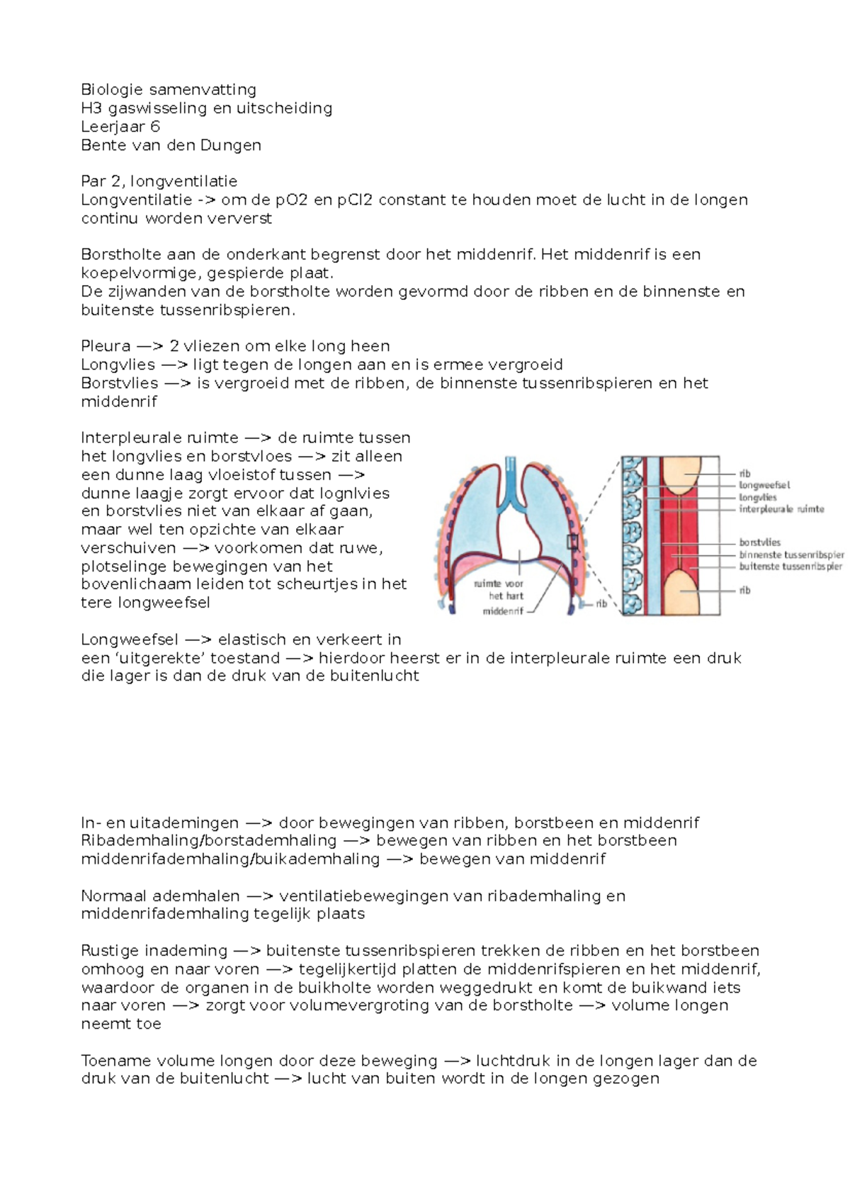 Biologie T3 gaswisseling en uitscheiding samenvatting leerjaar 6 ...