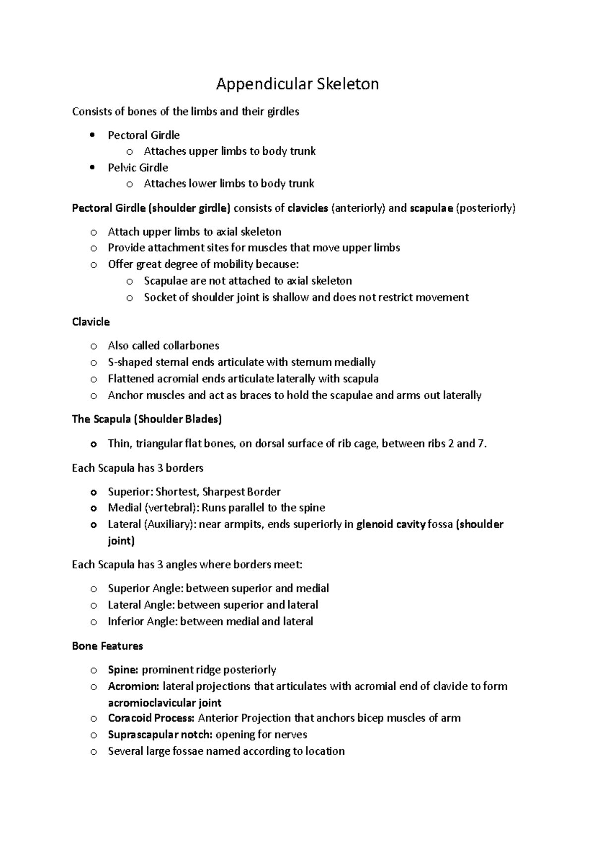 Appendicular Skeleton - Appendicular Skeleton Consists of bones of the ...