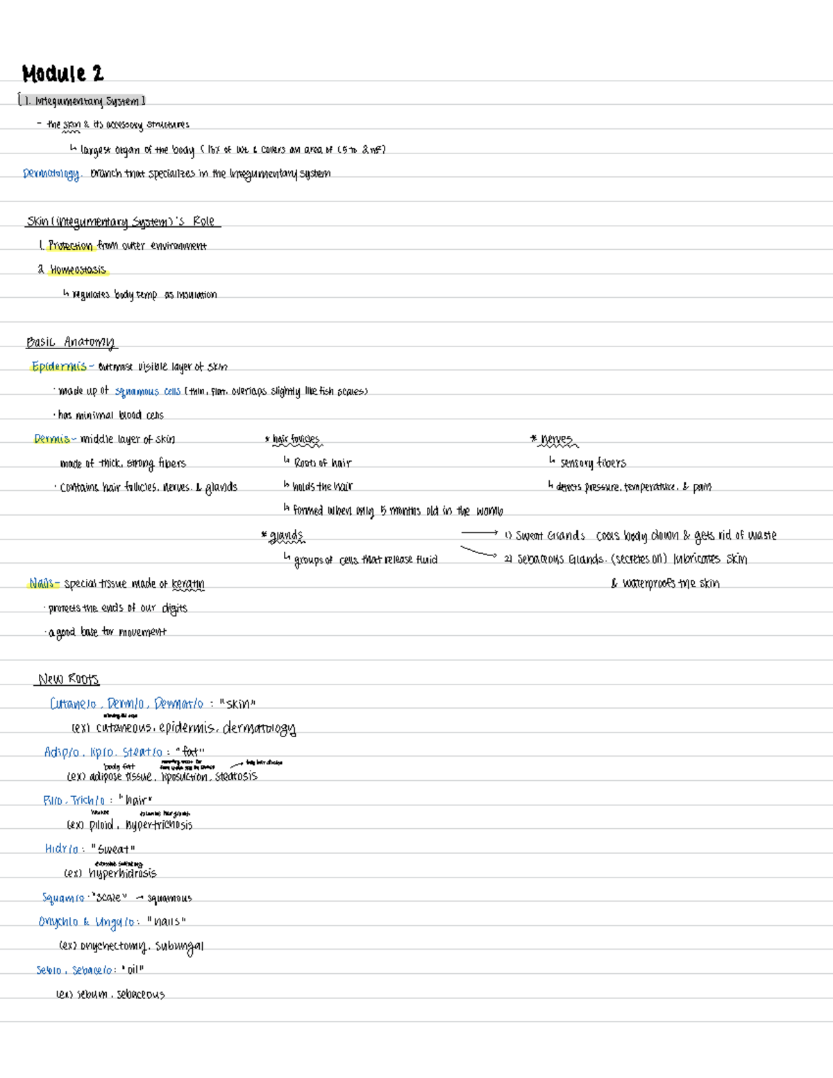 Medical Terminology Module II - Module 2 11. Integumentary system ...