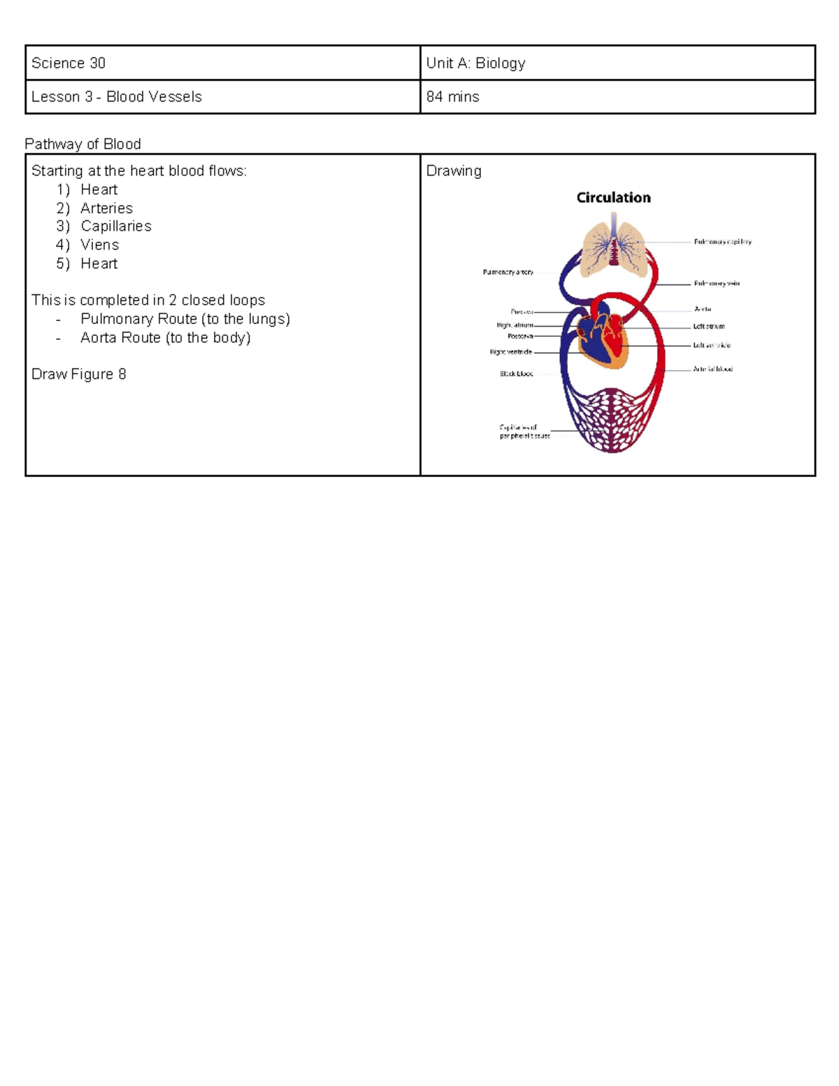 Blood Vessels - Review + Practice problems - Science 30 Unit A: Biology ...