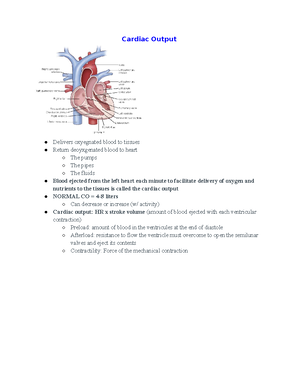 EXAM 2 Med Surg 3 - notes for exam 2 - Cardiac Conduction Automaticity ...