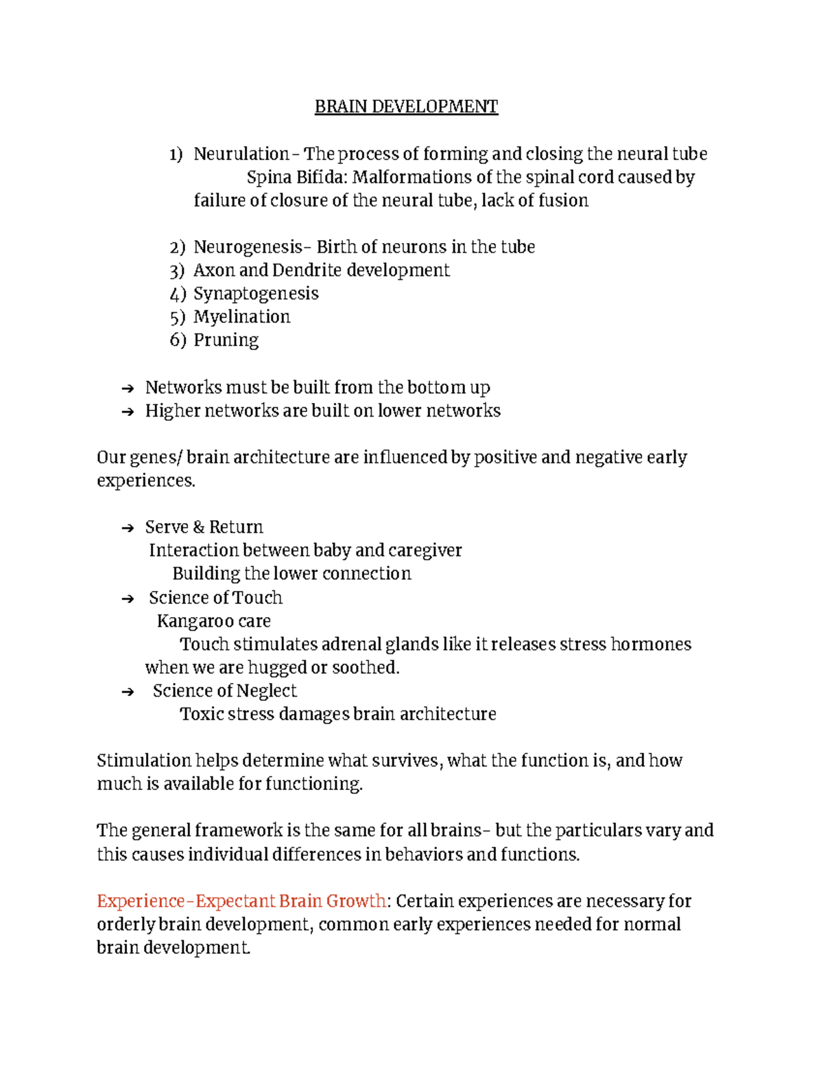 Brain Development - BRAIN DEVELOPMENT Neurulation- The process of ...
