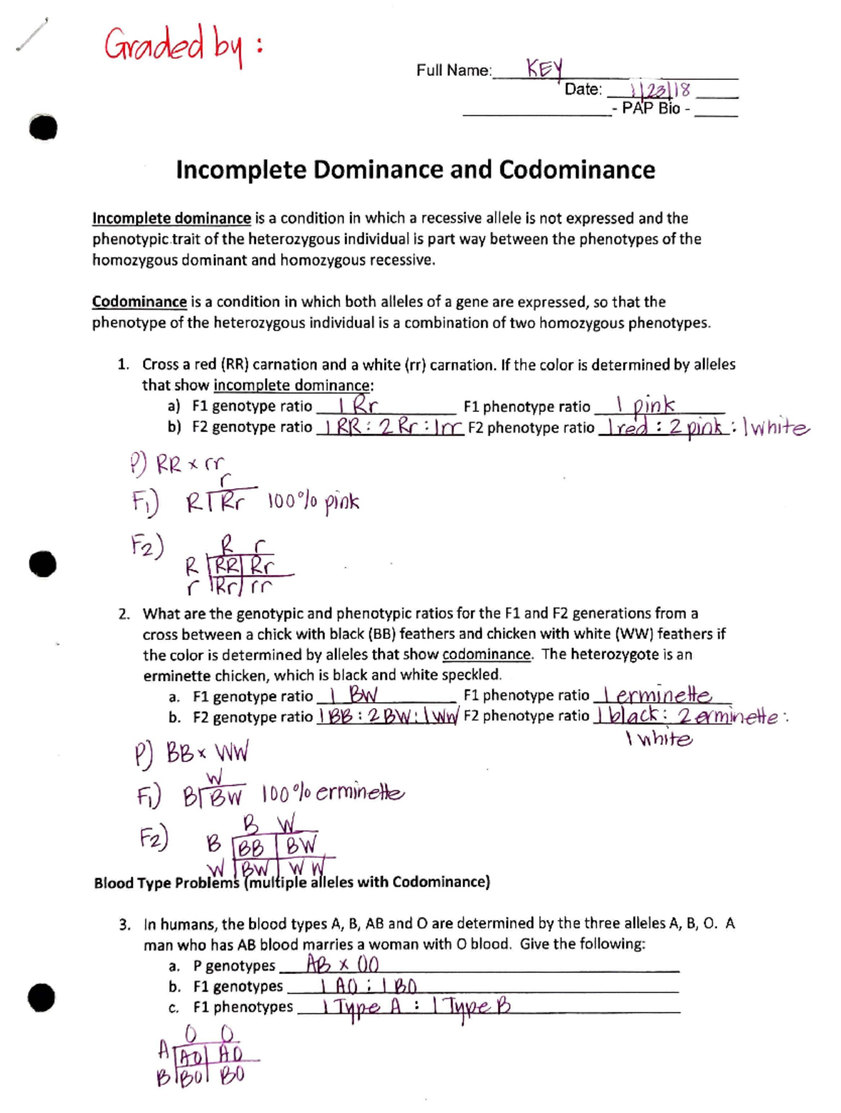 GPP Incomplete Codominance KEY - Full Name:__K~f?-,1- Date: \ \ Z&l l