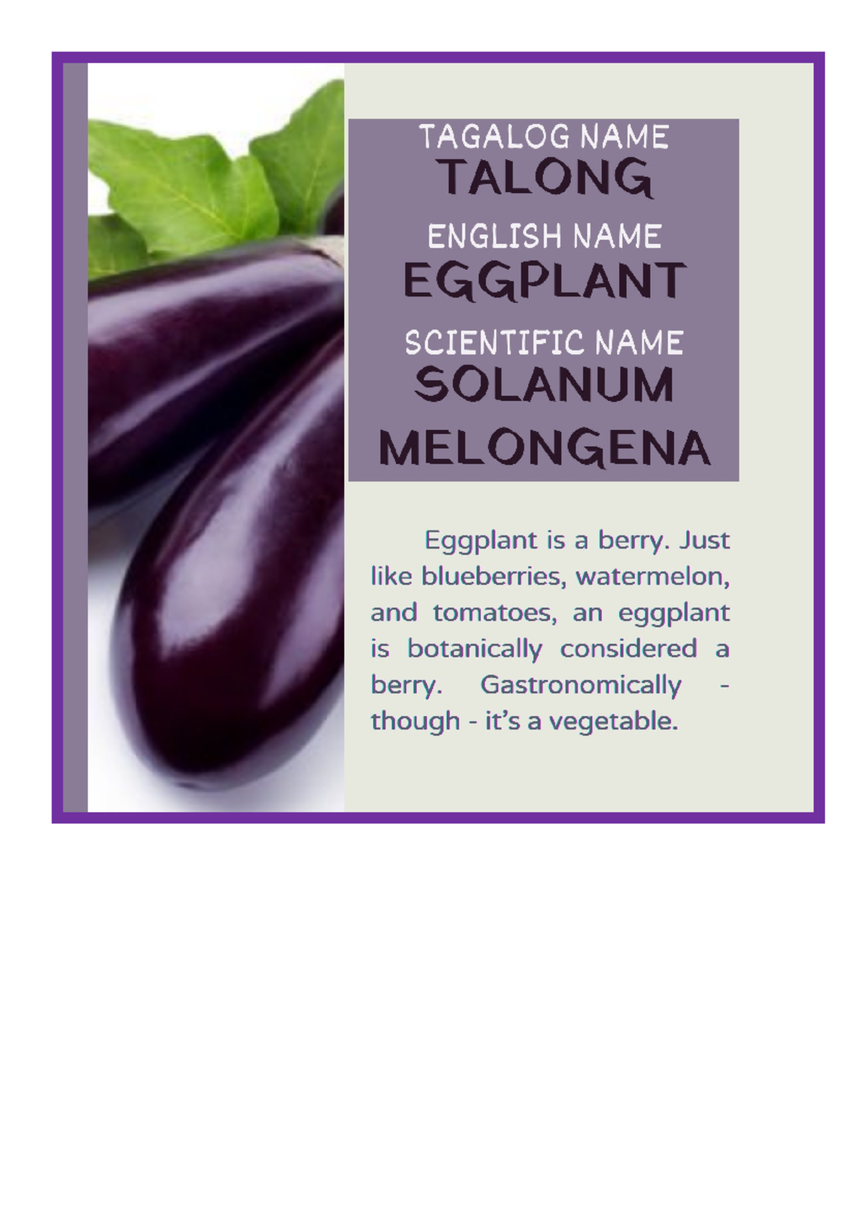 Doc1 - Bachelor of Secondary Education Major in English - Studocu