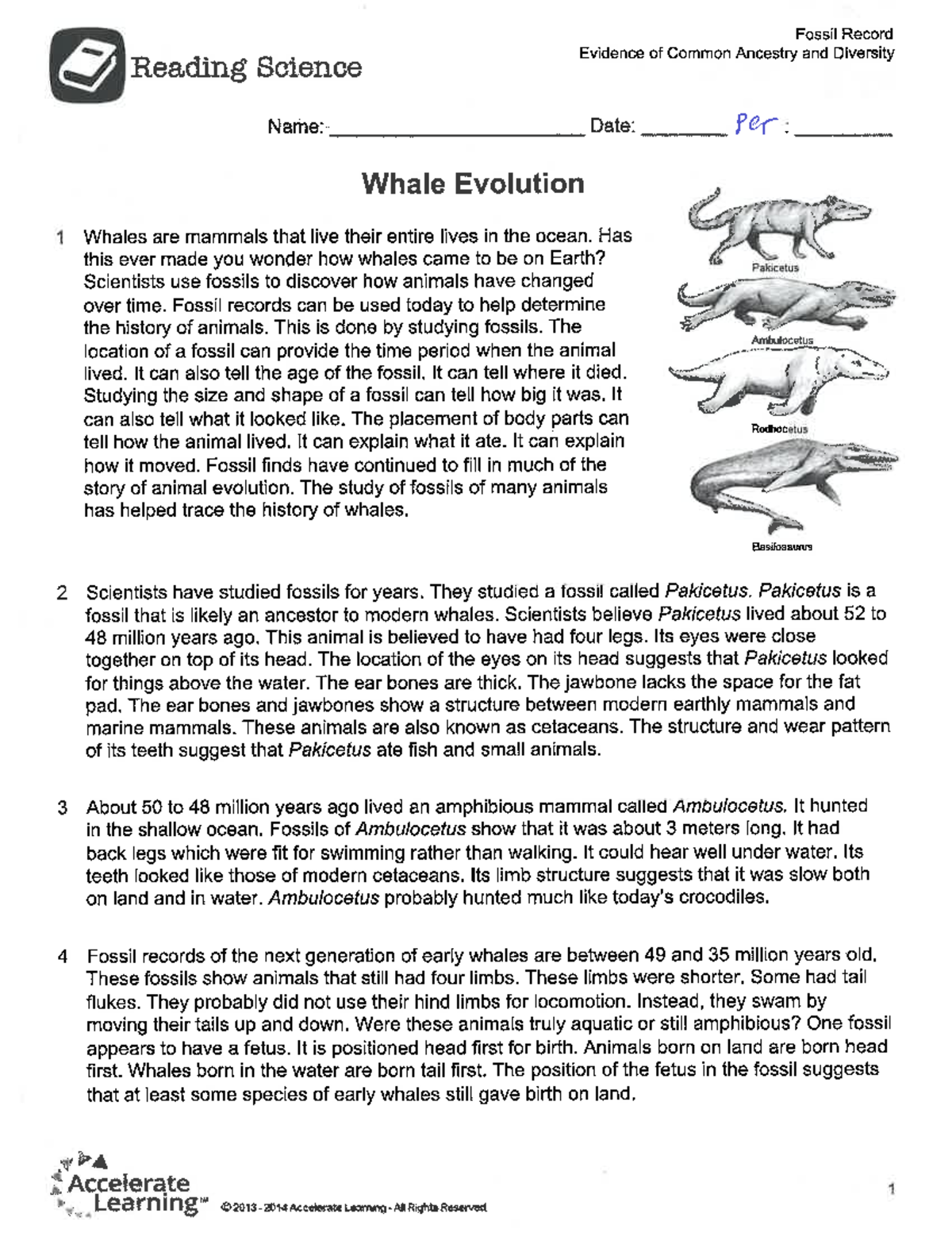 Whale page 1 - Studocu