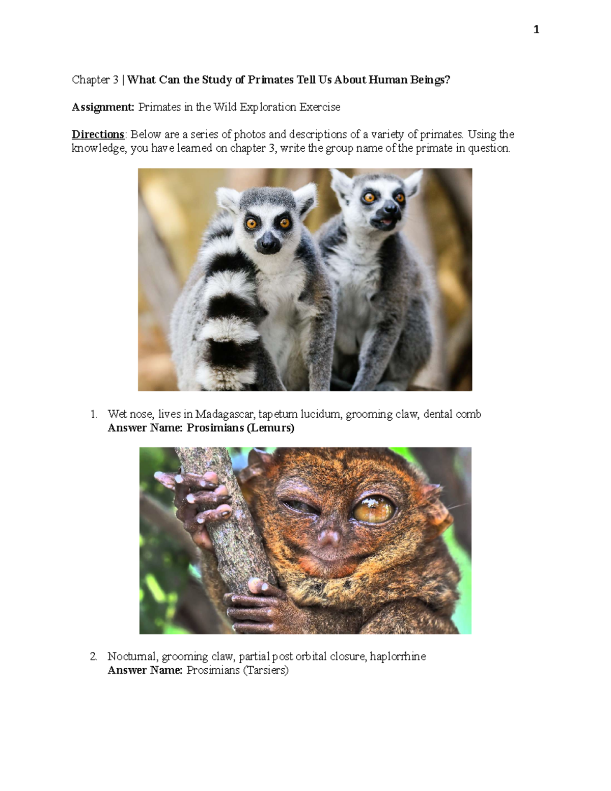 Ch. 3 - Primates in the Wild Exploration Exercise Accessible - Chapter ...