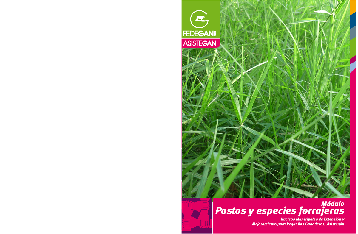 Pastos - ..... - Módulo Pastos y especies forrajeras Núcleos ...