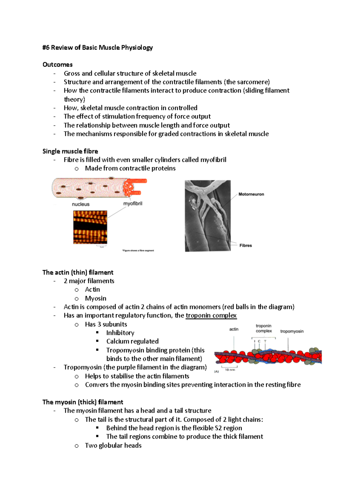 Skeletal Muscle lecture - sliding filament theory - #6 Review of Basic ...