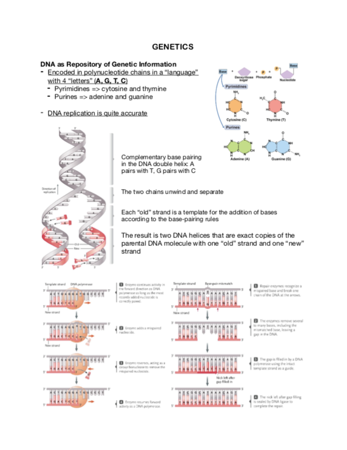 BI111 - Lectures 1-3 - BI 111 - Studocu