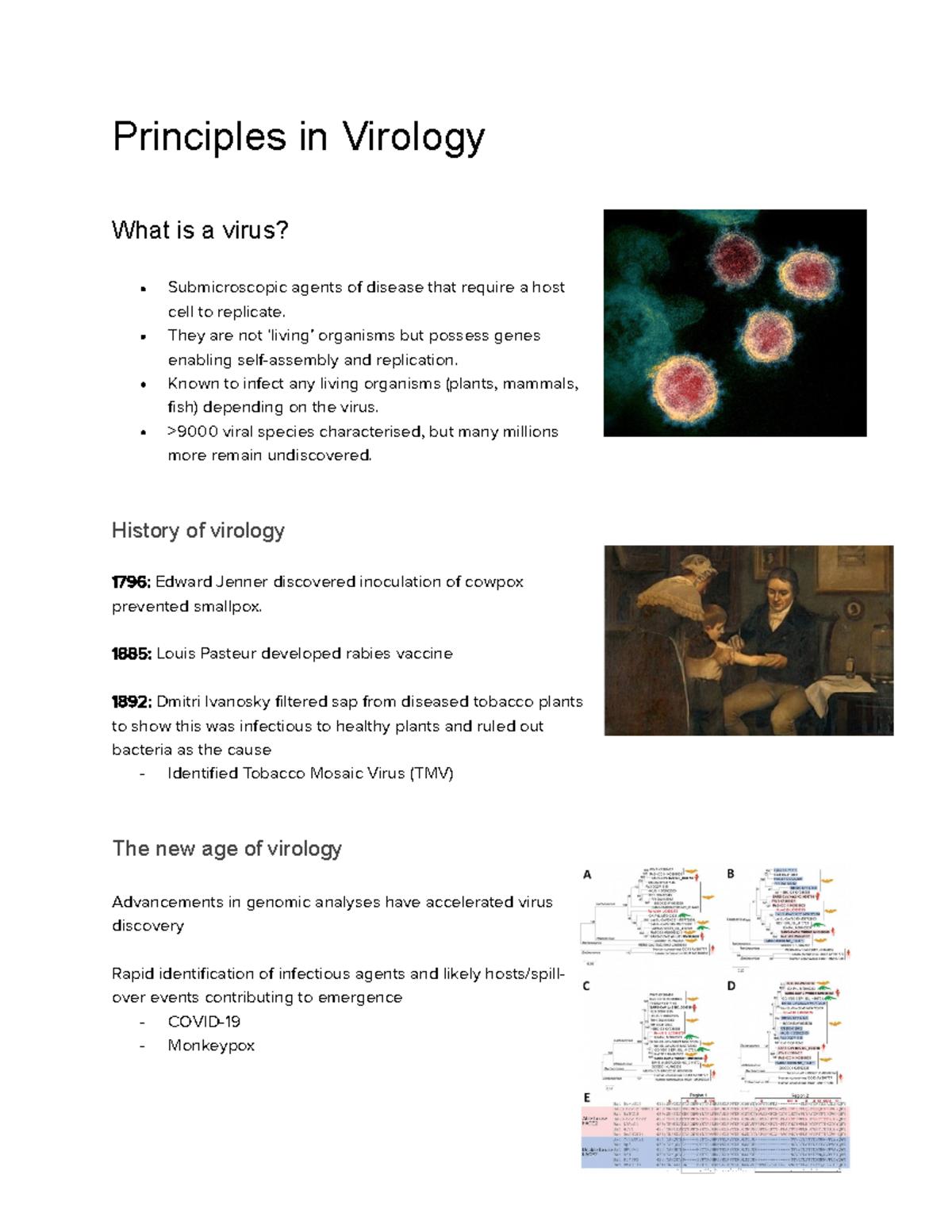 Principles in Virology - Principles in Virology What is a virus ...