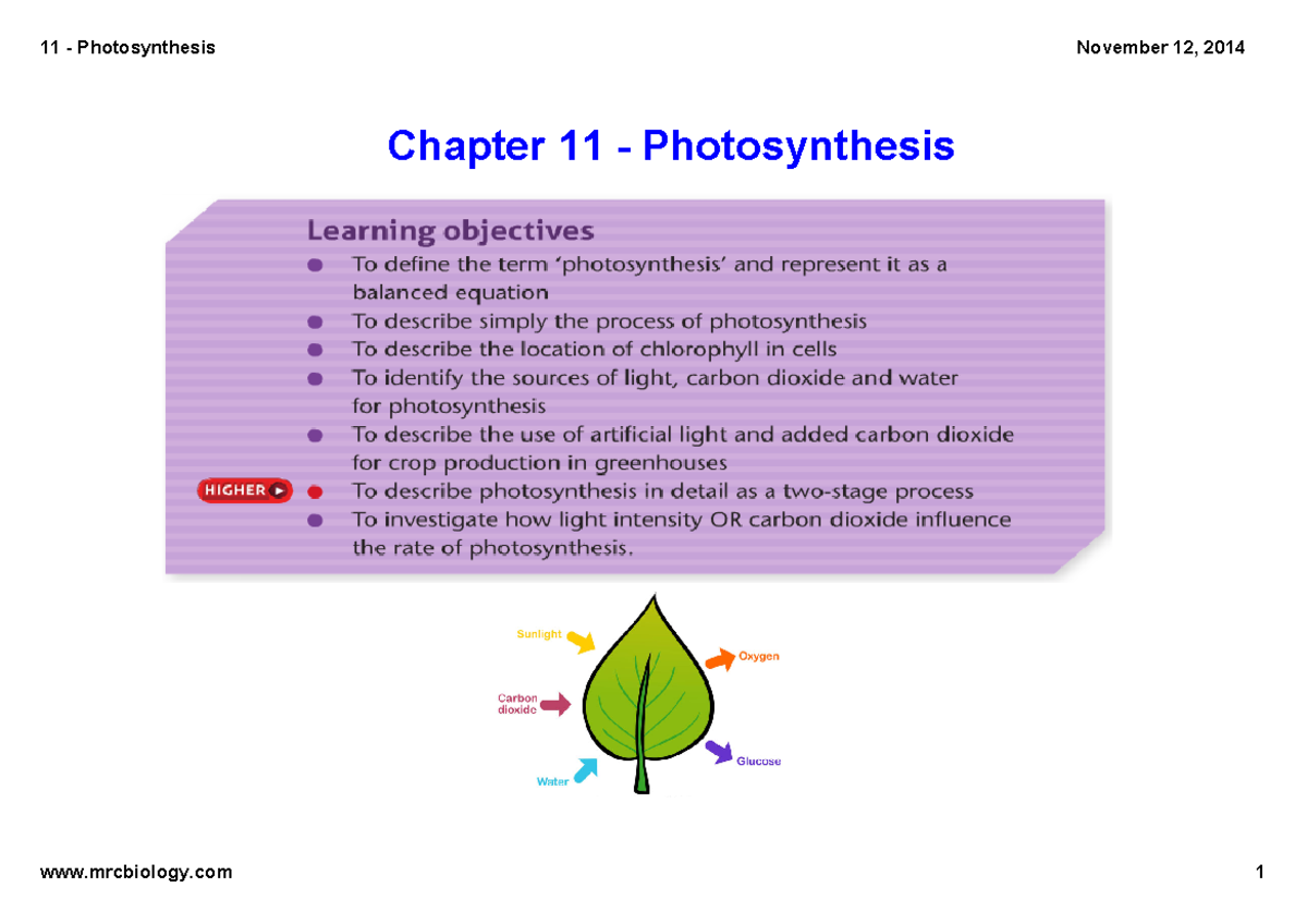 11 - Photosynthesis - Biology - Chapter 11 Photosynthesis ####### The ...