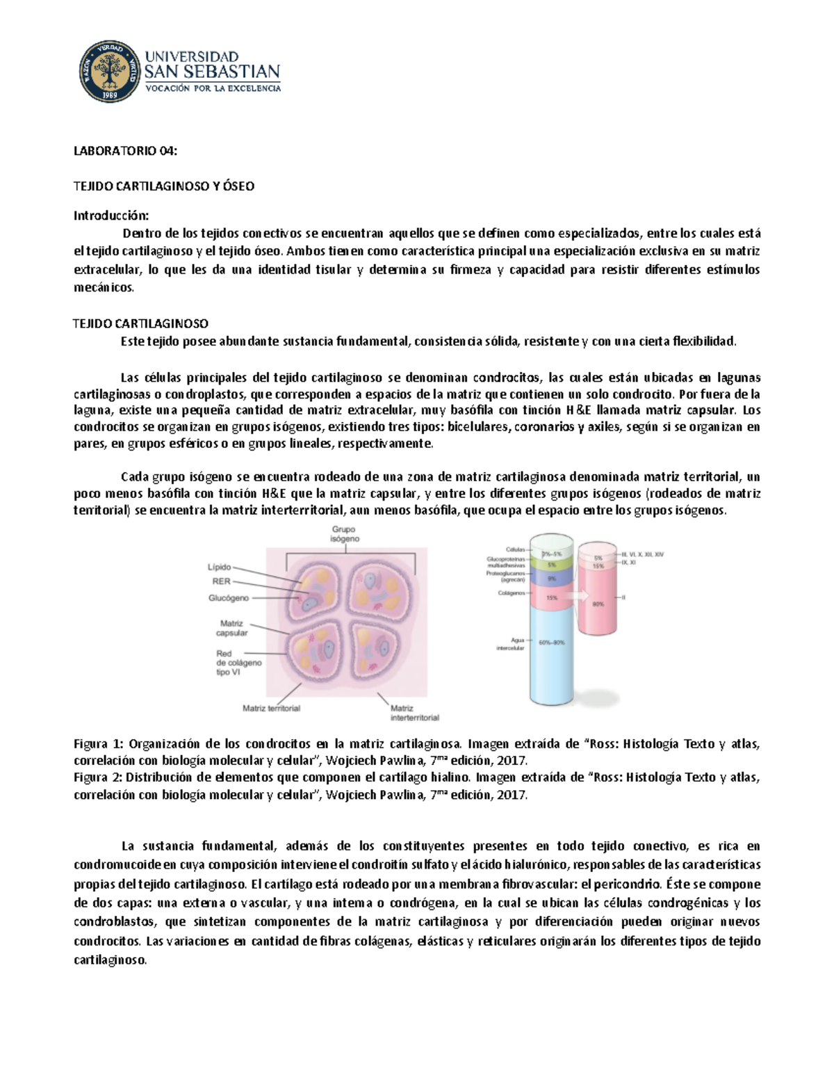 Labhisto-04- Tejido Cartilaginoso y Óseo - 2023-10 Rev - LABORATORIO 04 ...