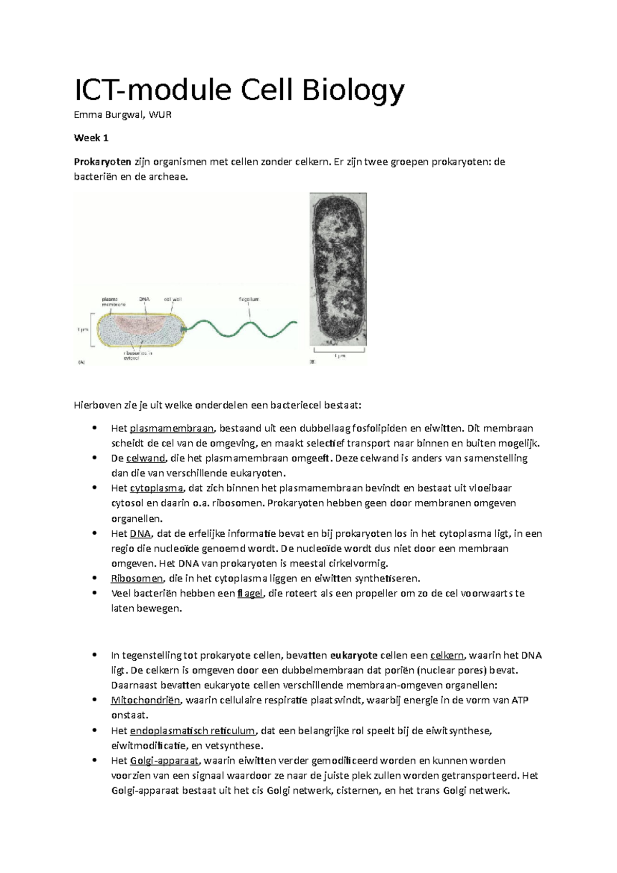 Ict-modules cell biology wur, CBI10306 - ICT-module Cell Biology Emma ...
