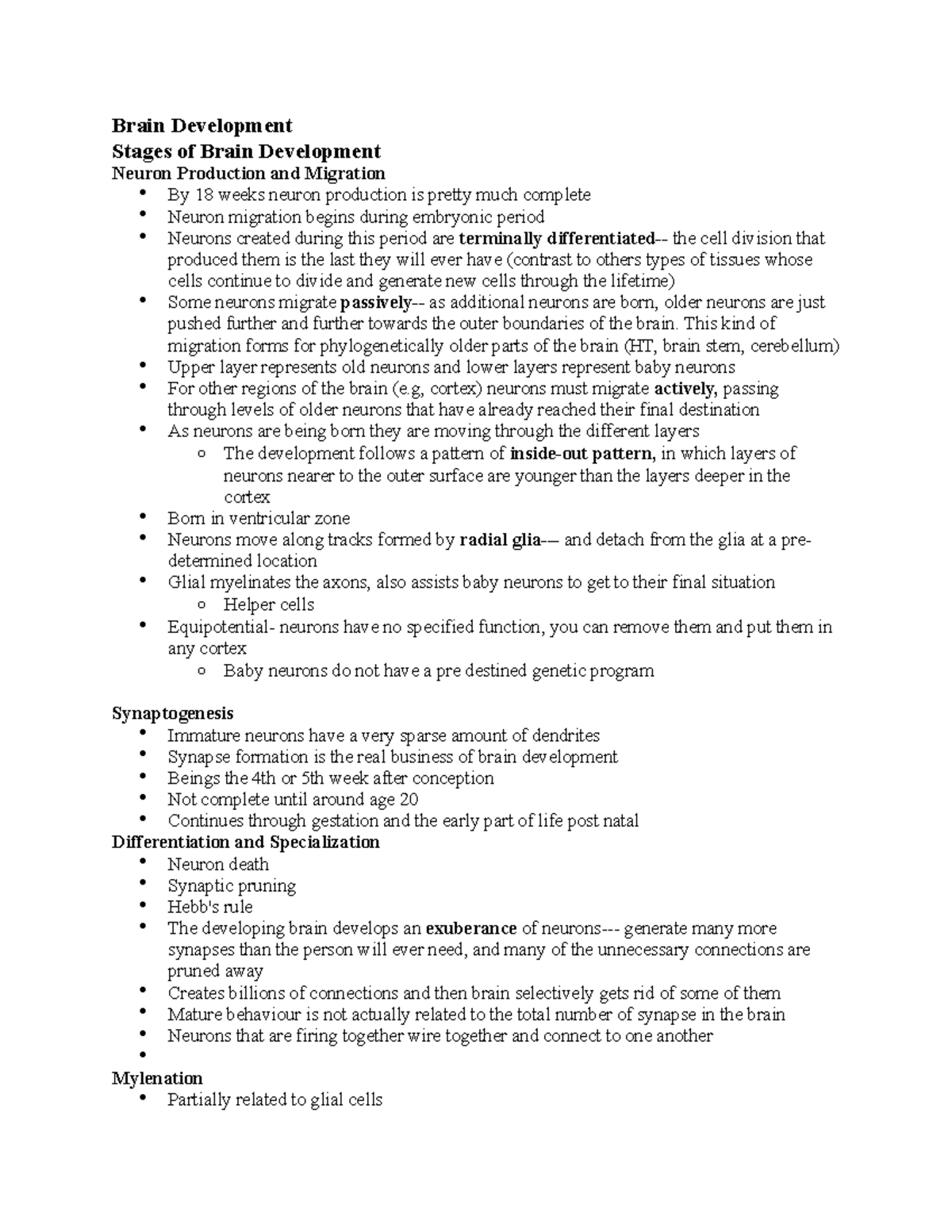 2480 Brain Development - Brain Development Stages of Brain Development ...