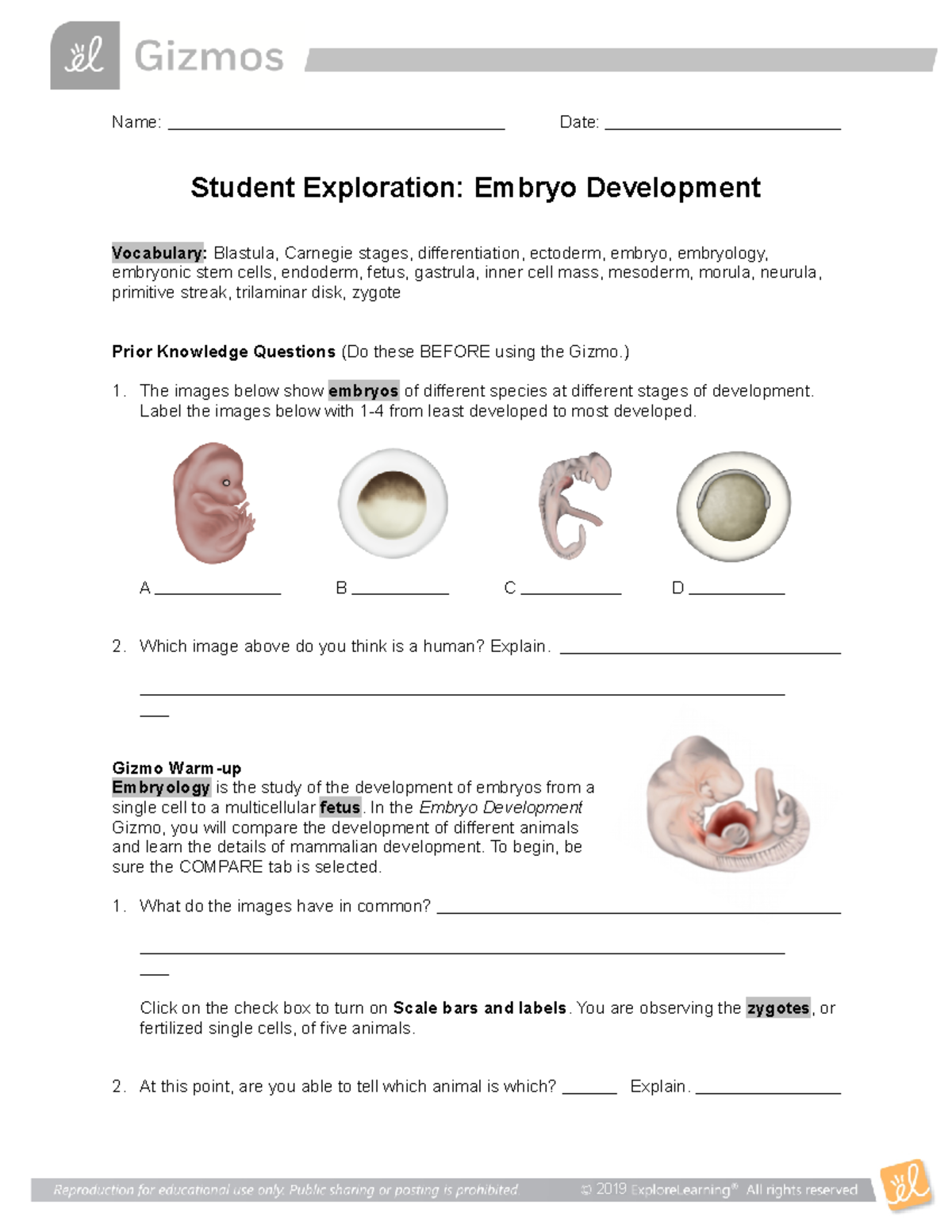 Embryo Development SE - Anonymous - Name: Date: Student Exploration ...