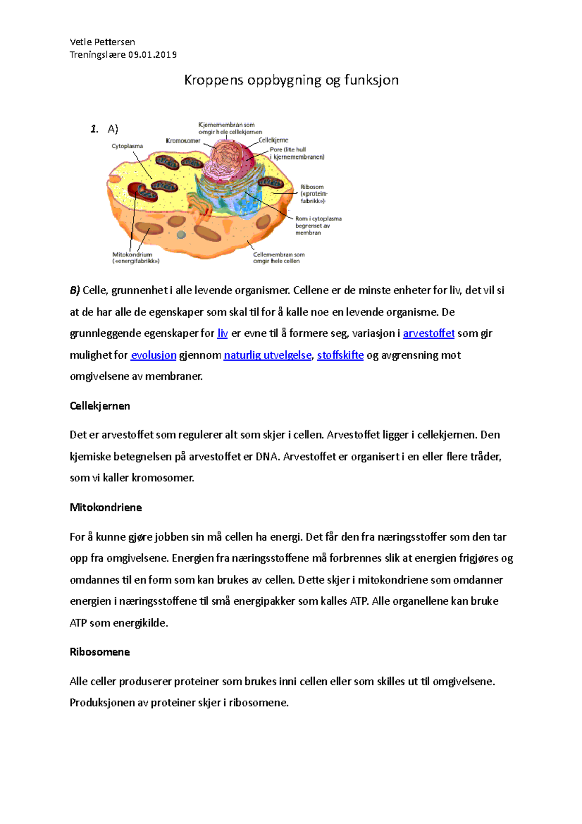 Kroppens-oppbygning-og-funksjon - Treningslære 09. Kroppens oppbygning ...