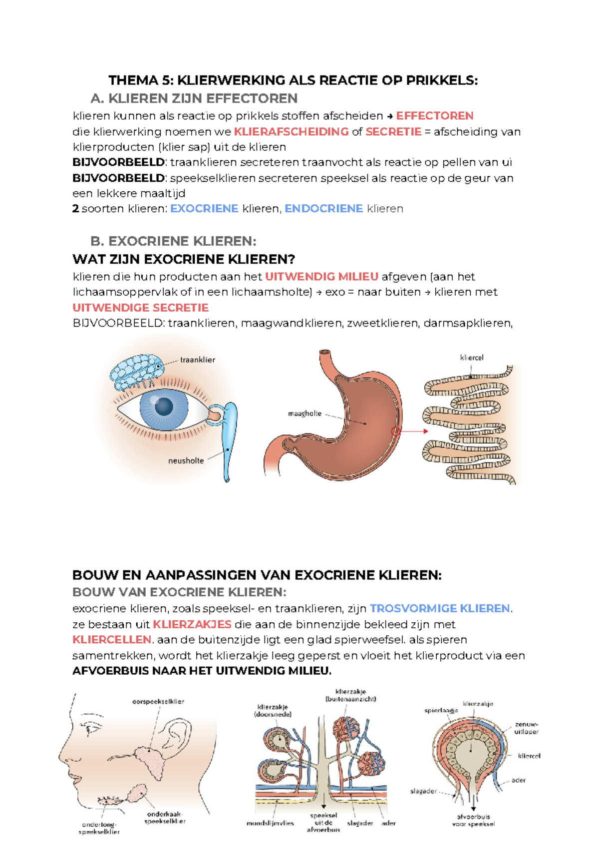 Biologie - Thema 5 - THEMA 5: KLIERWERKING ALS REACTIE OP PRIKKELS: A ...