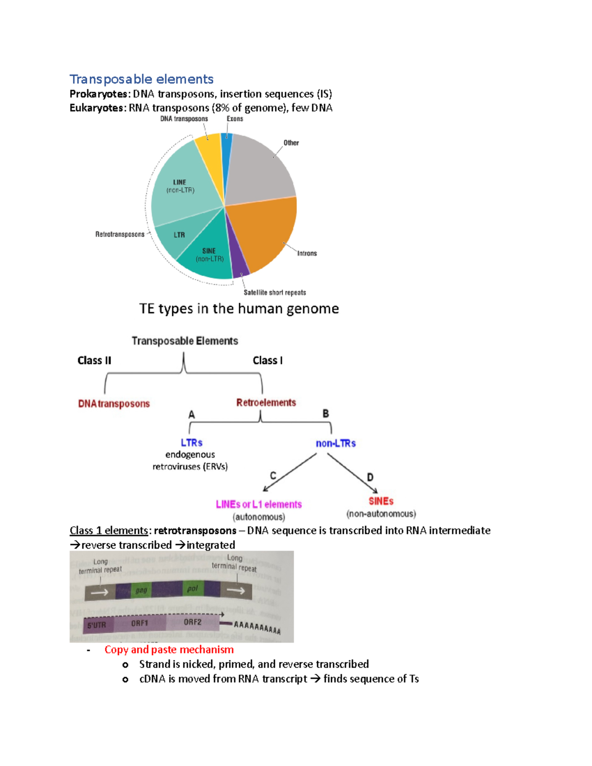 Genetics Final - Transposable elements Prokaryotes: DNA transposons ...