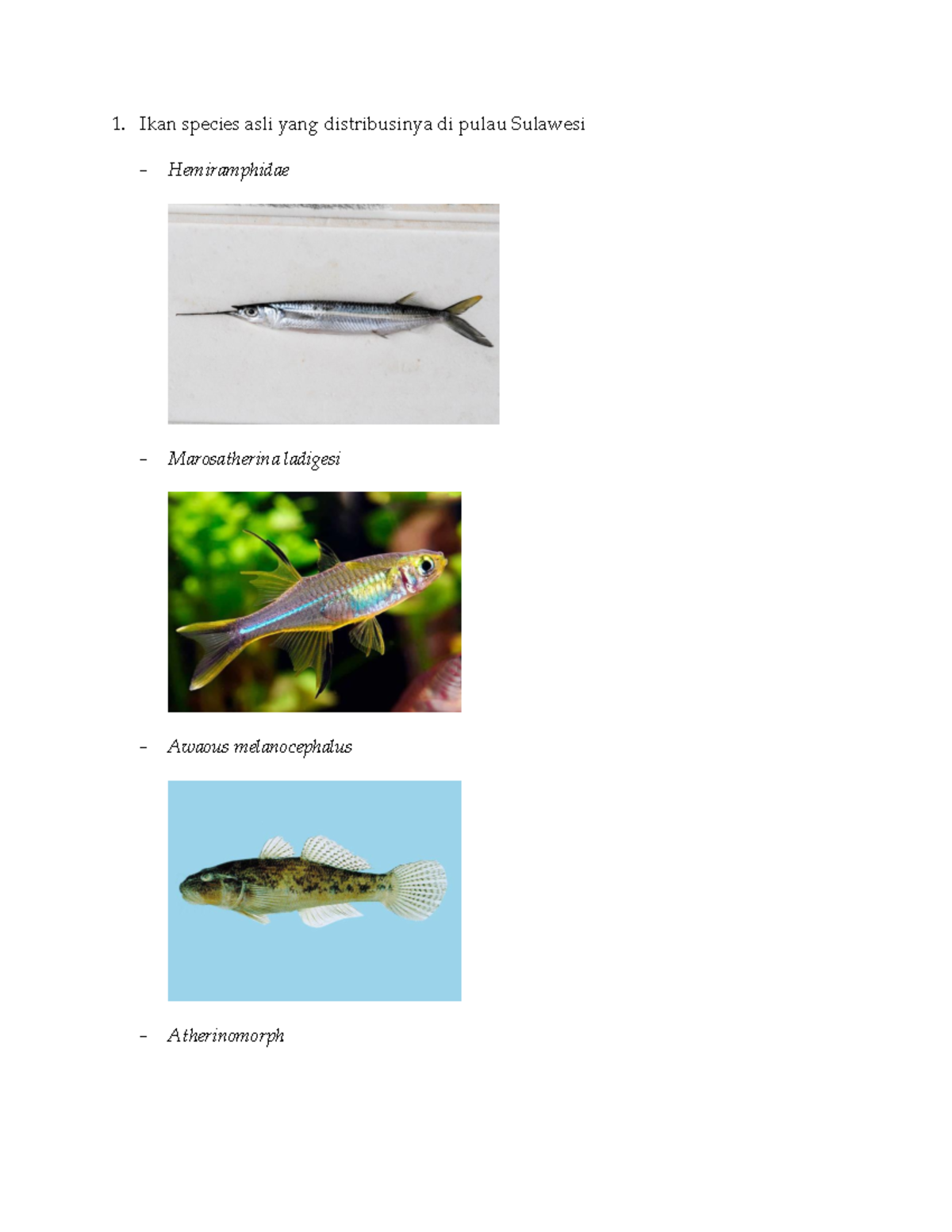 Ikan spesies asli - itoui (Mullidae: japonicus-species group) Flasher ...