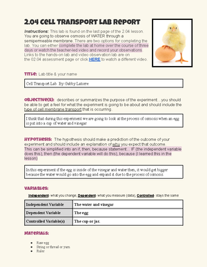 Copy of 2 04 Lab Report Template-v23 - 2 Cell Transport Lab Report ...