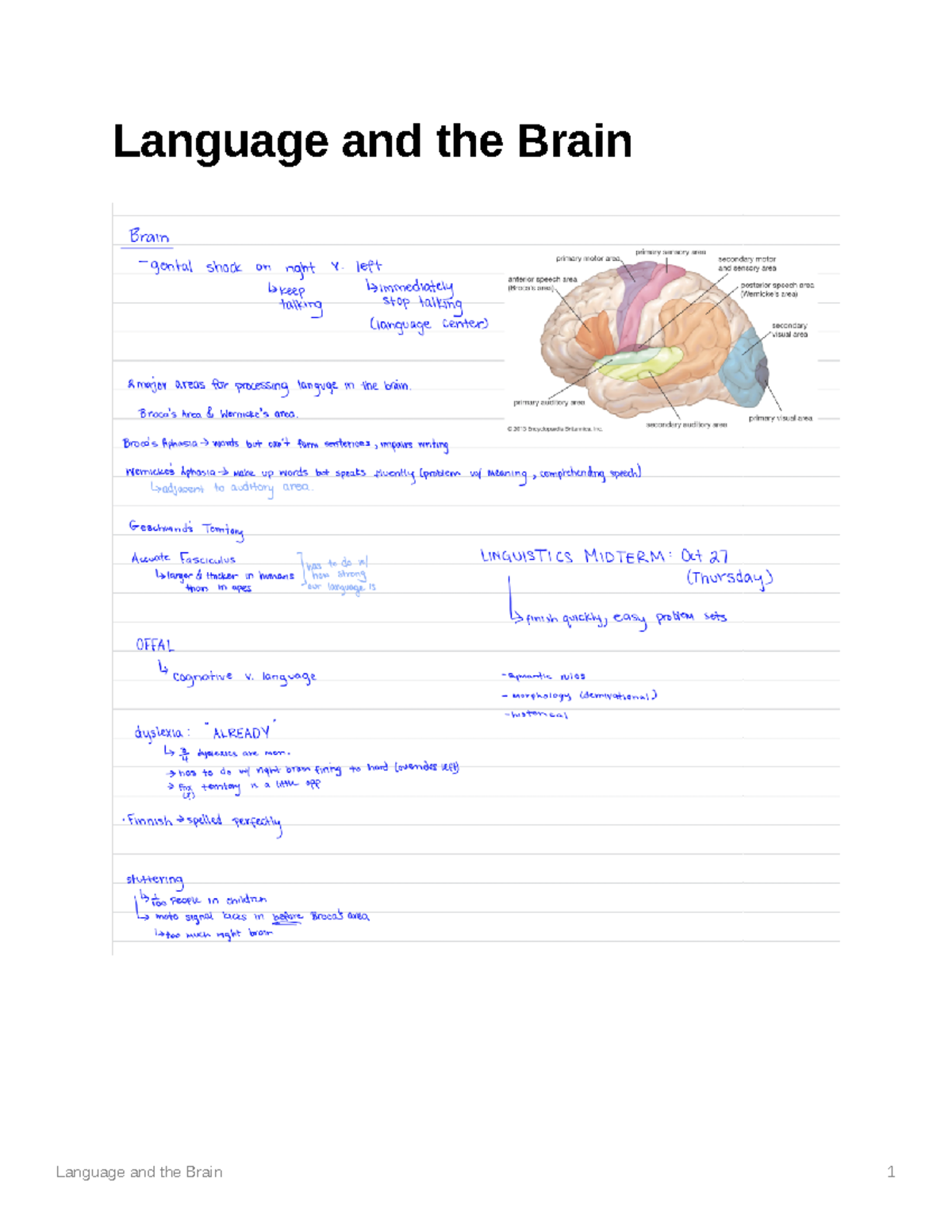 Language and the Brain - lecture notes from introduction to linguistics ...