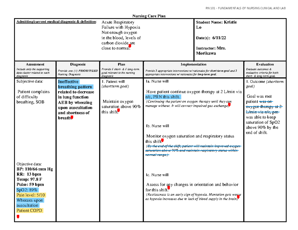 Graded careplan - care plan - RN 101 - FUNDAMENTALS OF NURSING CLINICAL ...