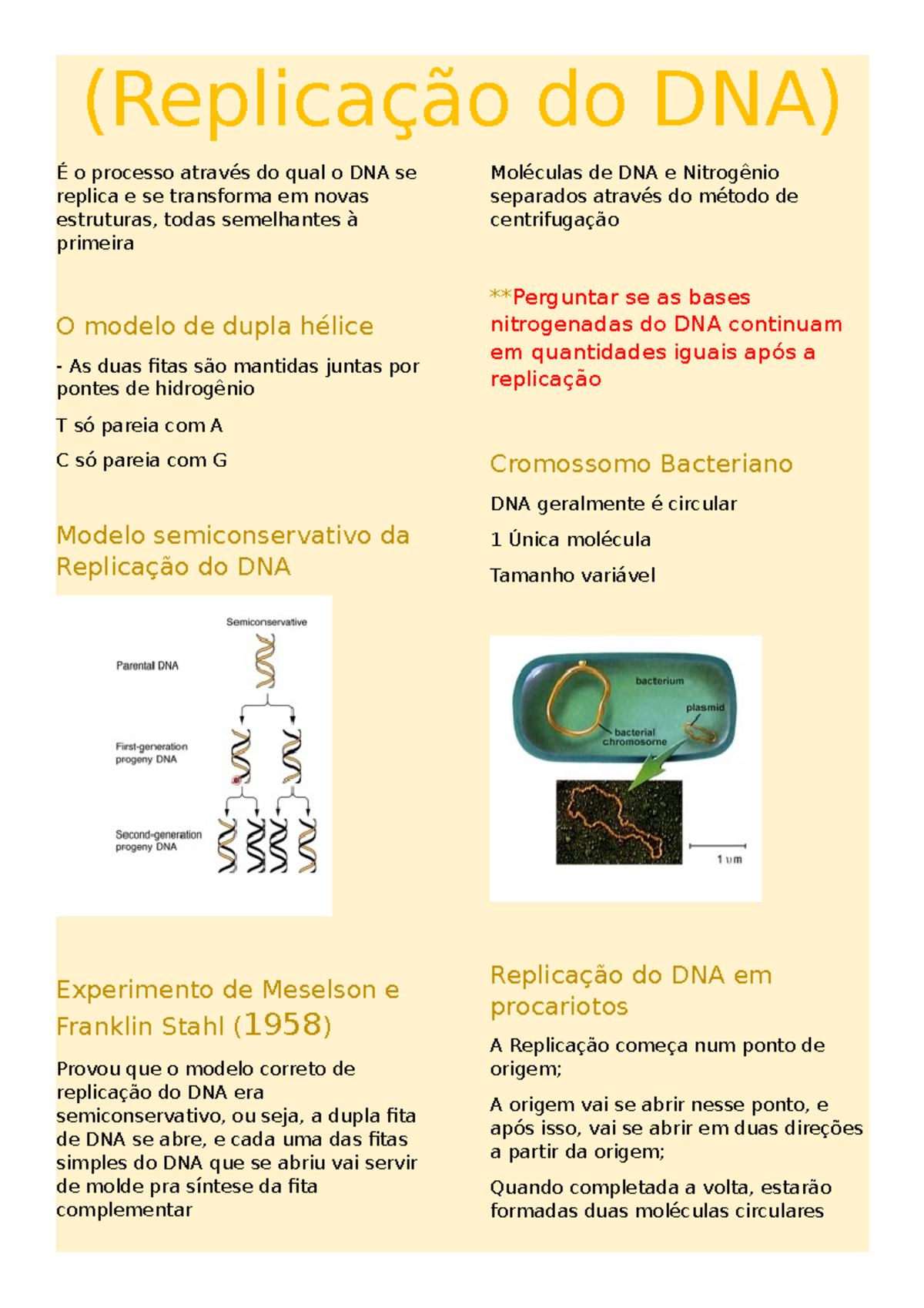 Replicação do DNA resumo prático - (Replicação do DNA) É o processo ...