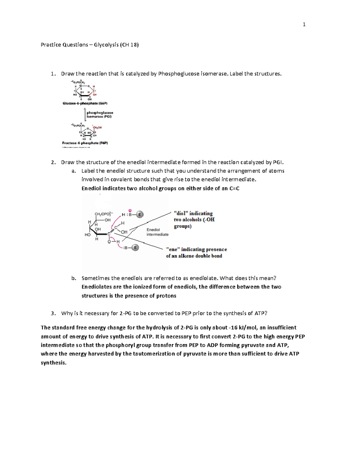 Glycolysis Practice Questions KEY - 1 Practice Questions – Glycolysis ...