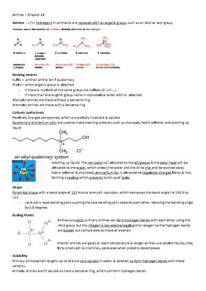210423 biography Ian Stuart - Biography Ian Stuart CEO, HSBC UK Bank ...