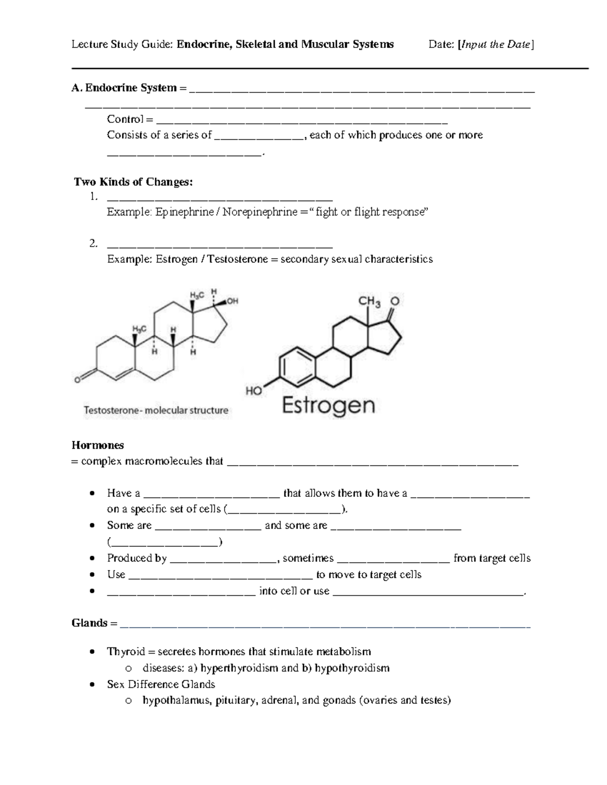Endocrine Skeletal and Muscular Systems Lecture Study Guide - A ...