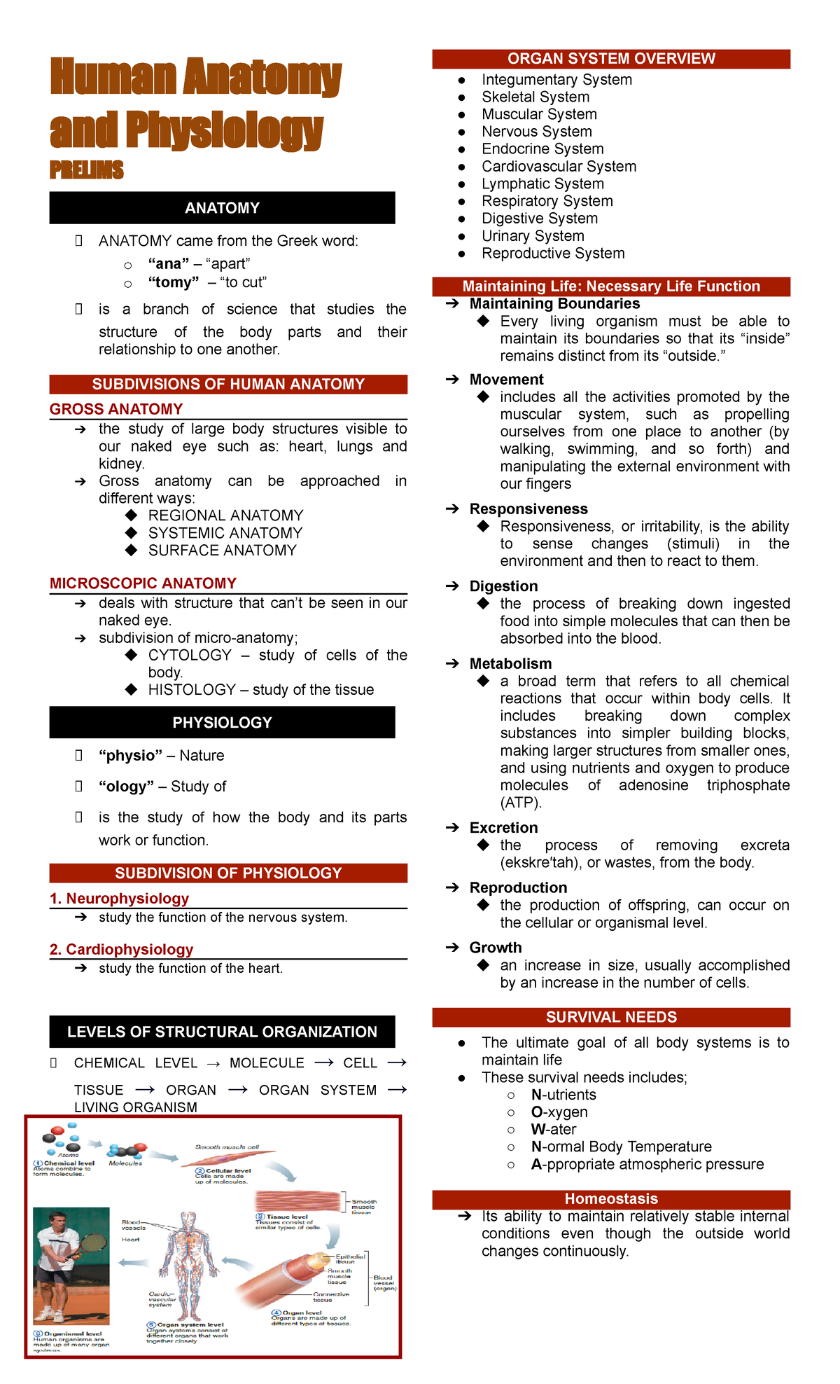 Anaphy - Prelims - Trans - Human Anatomy and Physiology PRELIMS ANATOMY ...