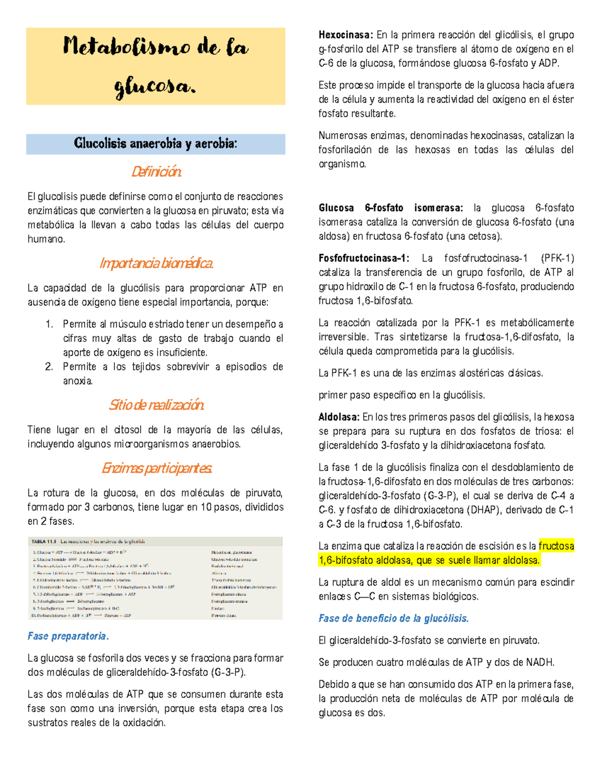Metabolismo de la glucosa - Definición. El glucolisis puede definirse ...