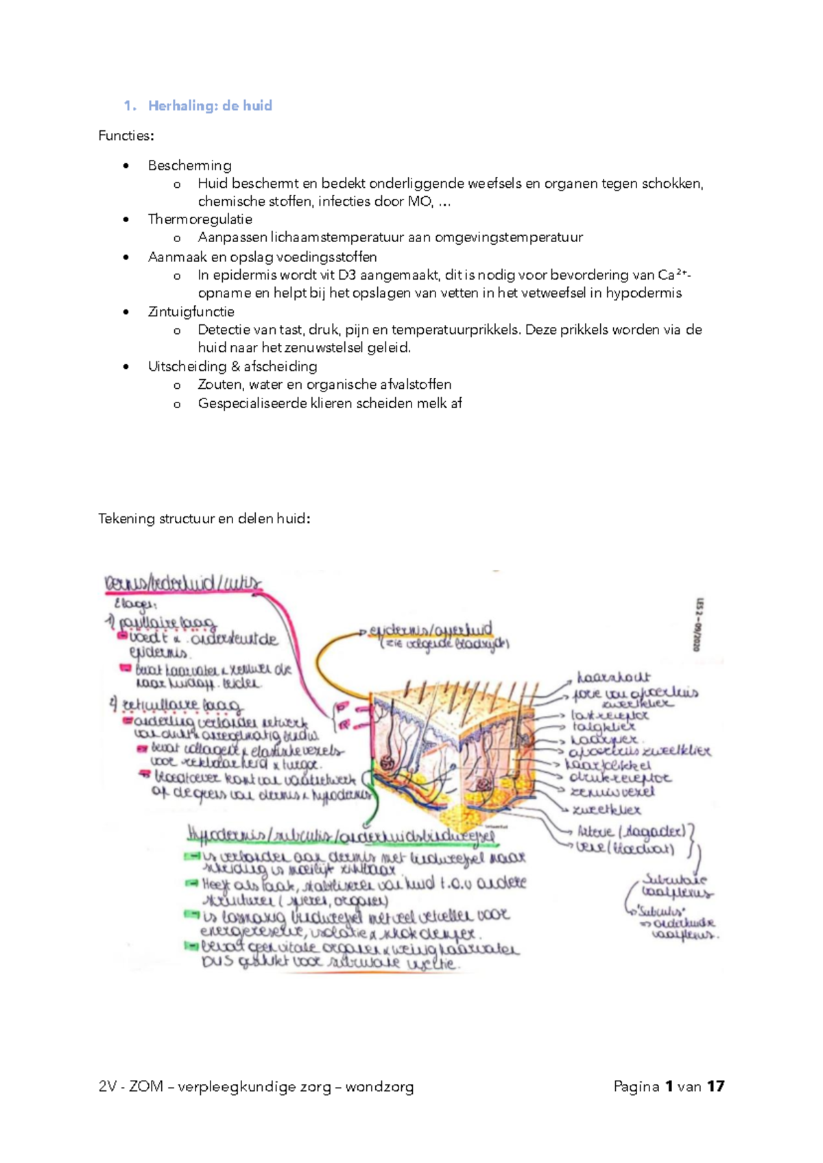 Samenvatting ZOM - wondzorg - Herhaling: de huid Functies: Bescherming ...