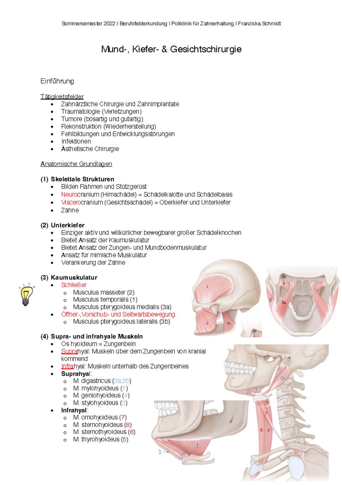 Mund-Kiefer-Gesichtschirurgie - Mund-, Kiefer- & Gesichtschirurgie ...