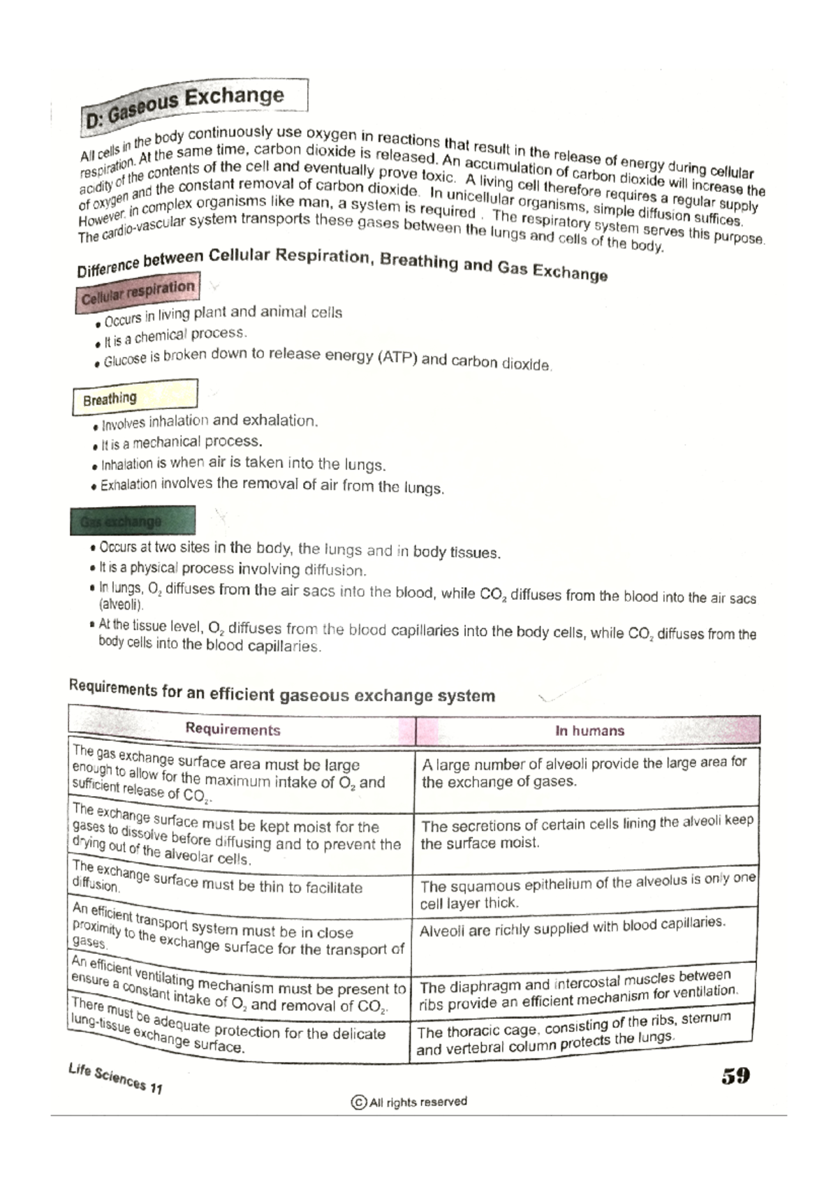 Gaseous Exchange Grade 11 - D: Gaseous Exchange continuously use oxygen ...