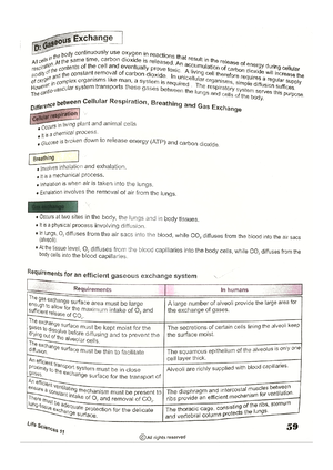Grade 11 Short Stories Guide - 1 | P a g e 1. GEMINI by Ahmed Essop ...