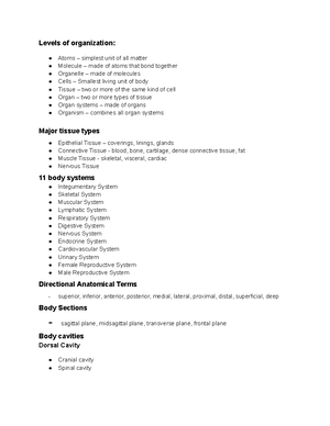 Clinical Anatomy - Abdomen - PA SCHOOL - Abdomen (Part 1) Anatomy of ...