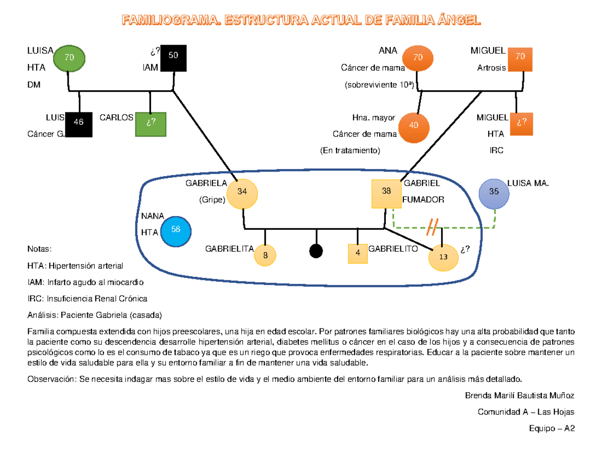 Familiograma familia Angel BMBM - Warning: TT: undefined function: 32 LUISA ¿? ANA MIGUEL HTA ...