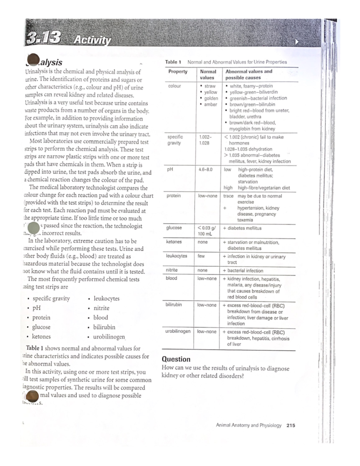 Urinalysis (1) (1) - my urainalysis worksheet - Studocu