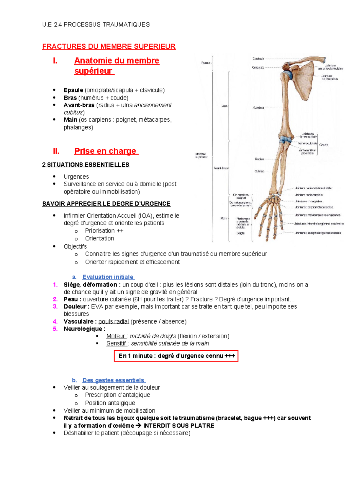 U.E 2.4 Fractures du membre supérieur - FRACTURES DU MEMBRE SUPERIEUR I ...