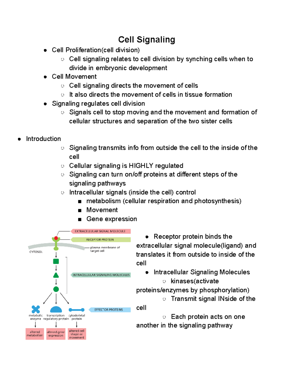211-Lecture 2-1 12 - Lecture notes on basic cell signaling - Cell ...
