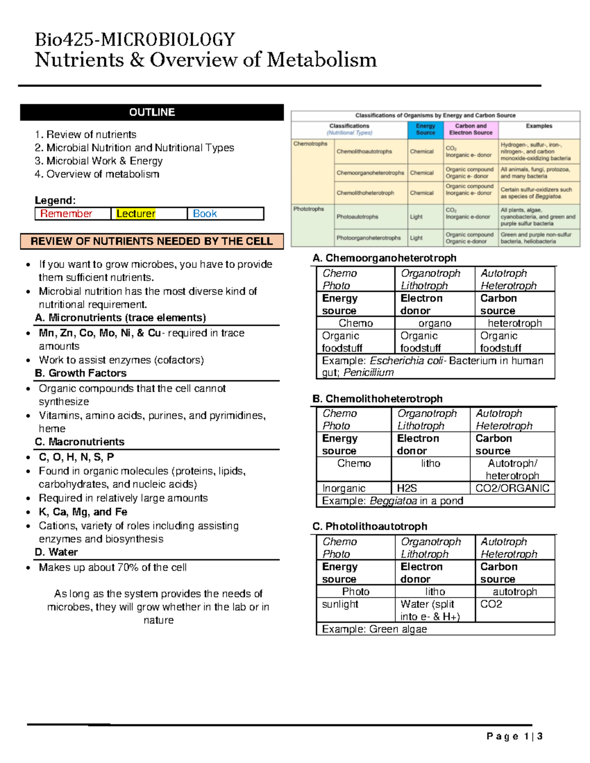 Bio425 Module 4 Nutrients and Overview of Metabolism-Notes - Bio425 ...
