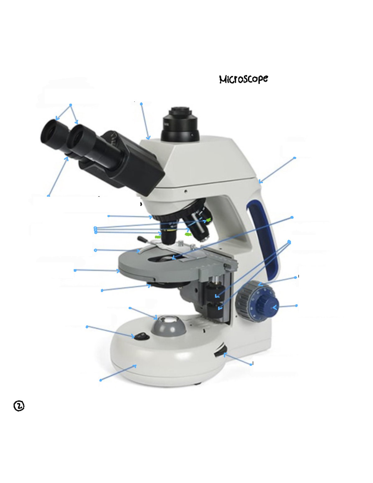 Microscope - epieces How Microscope Cocular lenses) Head O O L ...
