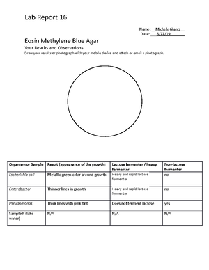 Lab Exercise 15 - Lab Report 14 Name: Michele Glantz Date: 5/21/19 ...