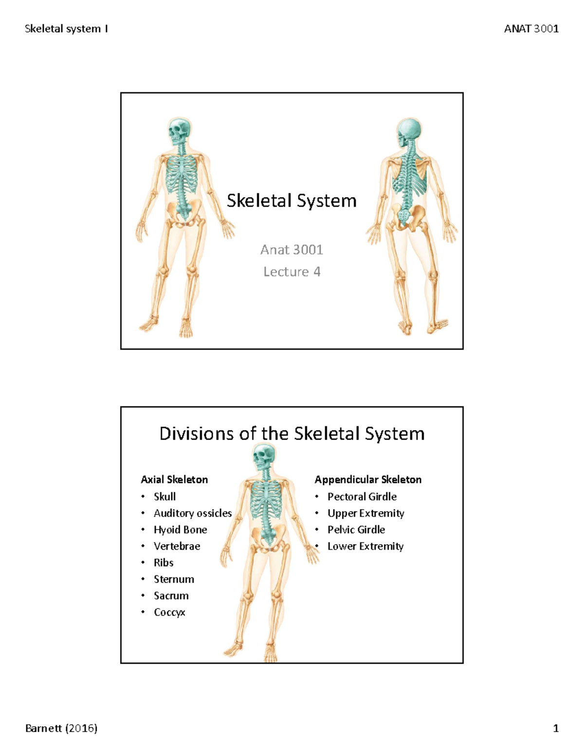 05 Skeletal System 1 Axial I F16-2 - Warning: TT: undefined function: 22 Warning: TT: undefined ...