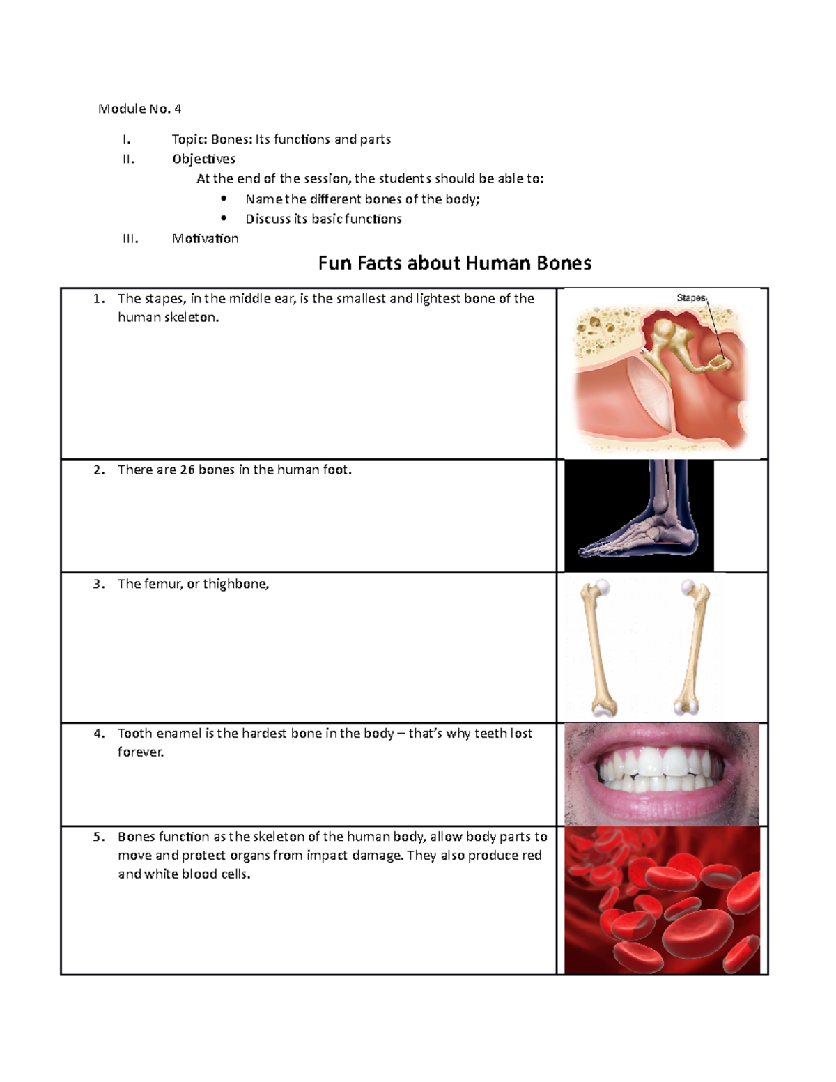 Module 4 - Module No. 4 I. Topic: Bones: Its functions and parts II ...