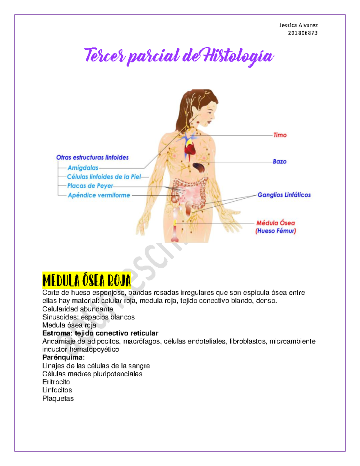 Histología modulo 3 - Warning: TT: undefined function: 32 201806873 Tercer parcial de Histología ...