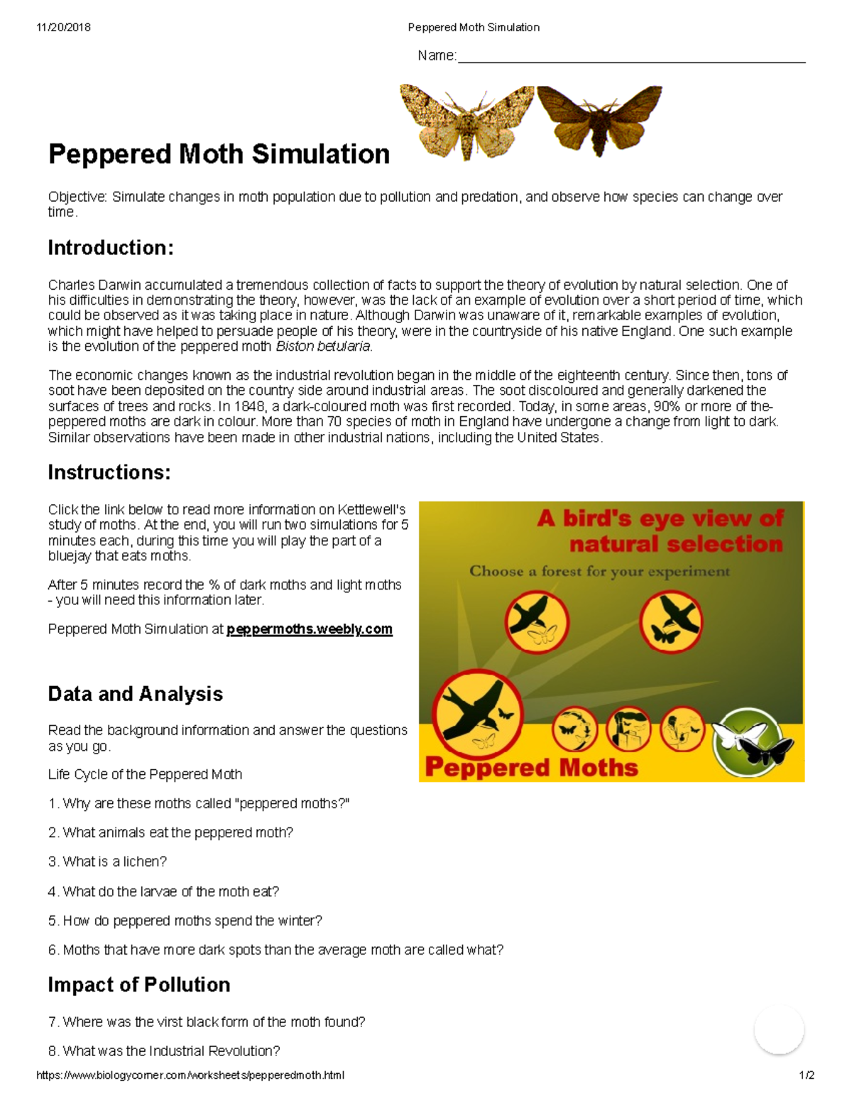 Peppered moth simulation - 11/20/2018 Peppered Moth Simulation - Studocu